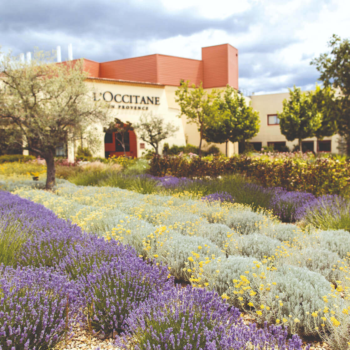 Découverte de l'Usine - L'OCCITANE vous invite à Manosque ! | L'OCCITANE FR